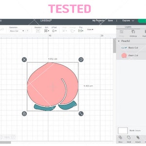 Peach Svg, summer Fruit Svg, Peach Png - Etsy