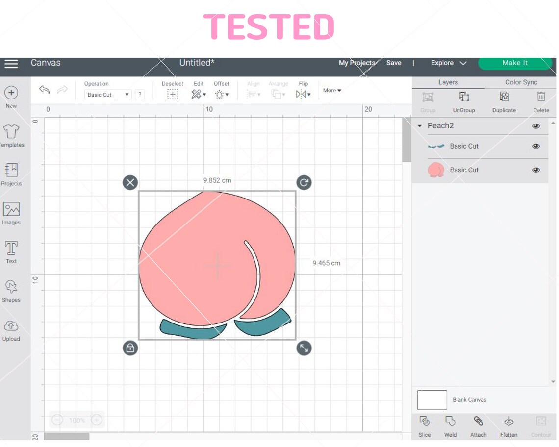 Fruit SVG Lemon Svg Pineapple Svg Peach SVG Apple Stem | Etsy