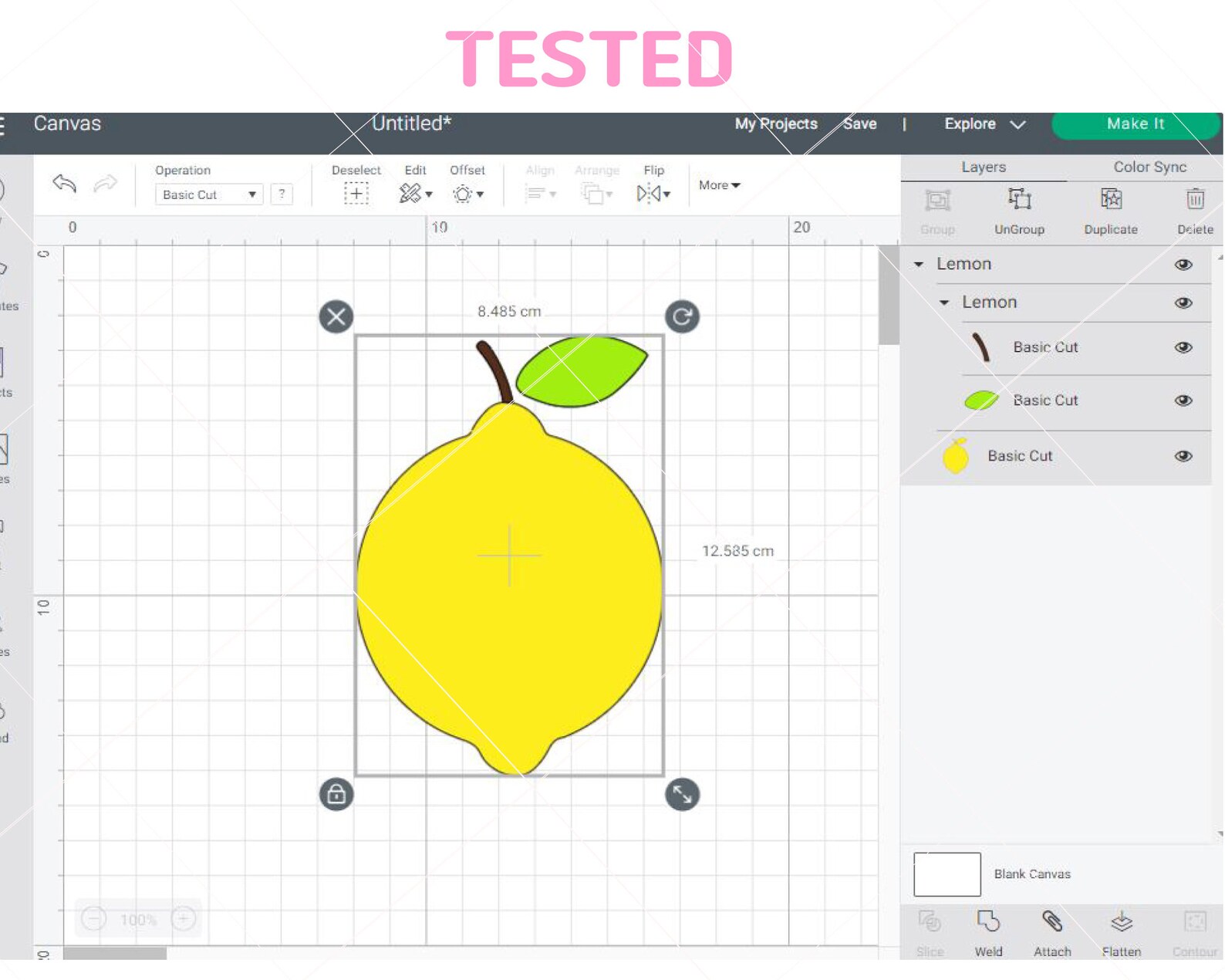 Fruit SVG Lemon Svg Pineapple svg Peach SVG apple stem | Etsy