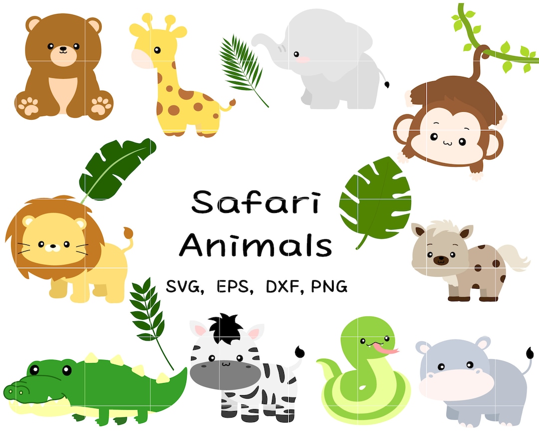 Safari Svg, Zoo Animal Svg 21 Cut Files - Etsy