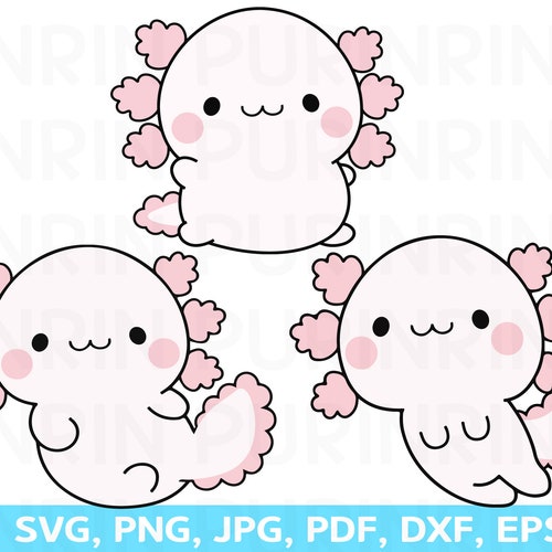 Axolotl Outline Svg Axolotl Silhouette Etsy Israel