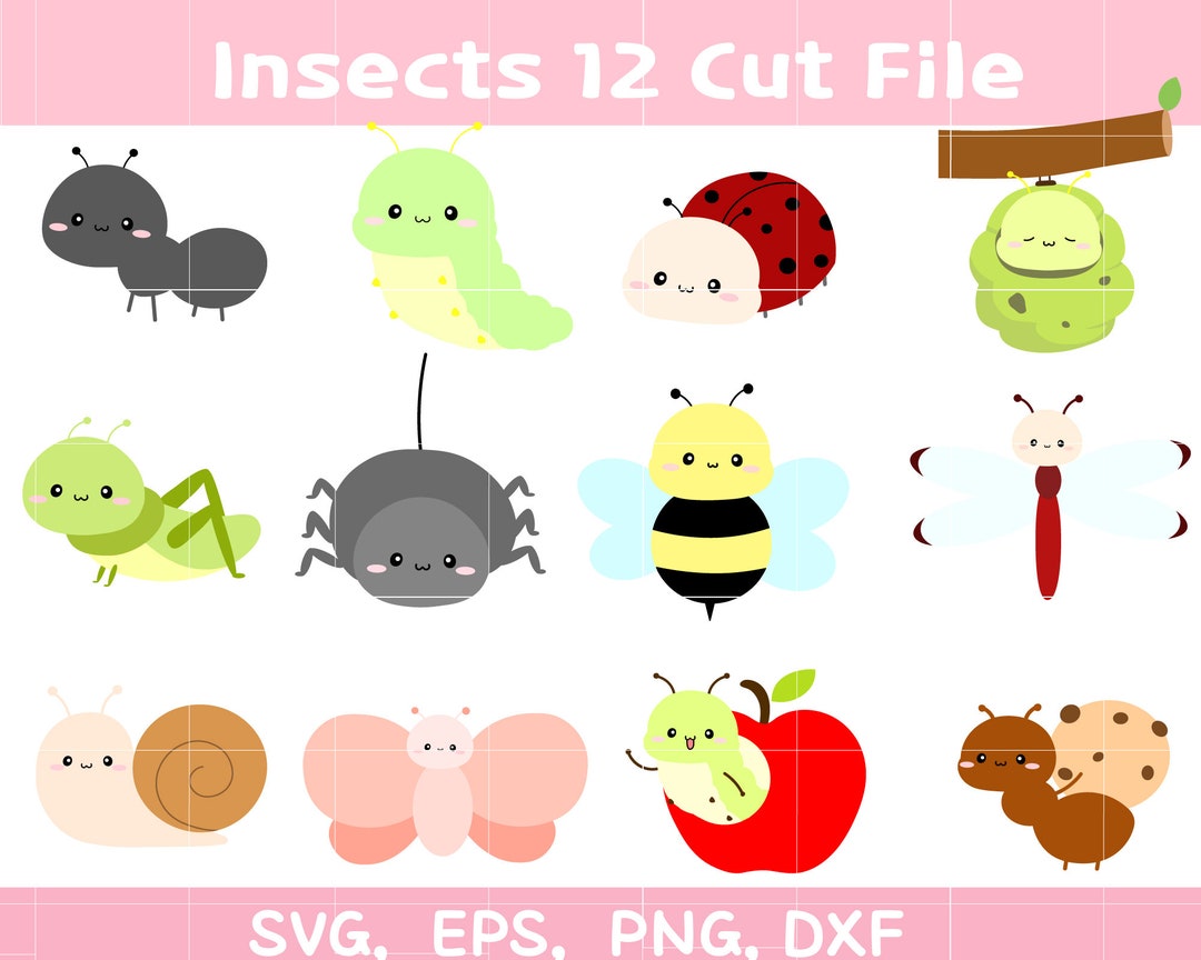 Insects Svg Cut File, Cricut - Etsy