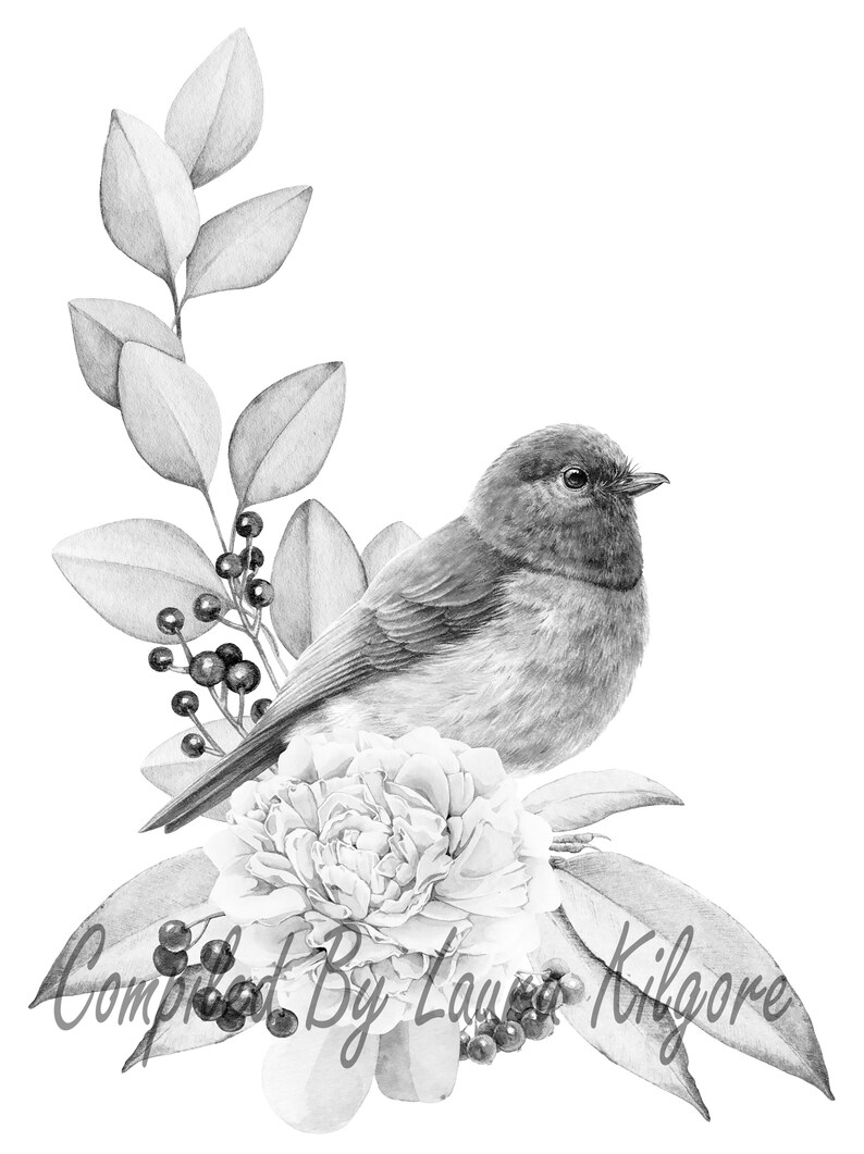 Painted Birds 2: Adult Greyscale Coloring Book (PDF Pattern) - Etsy