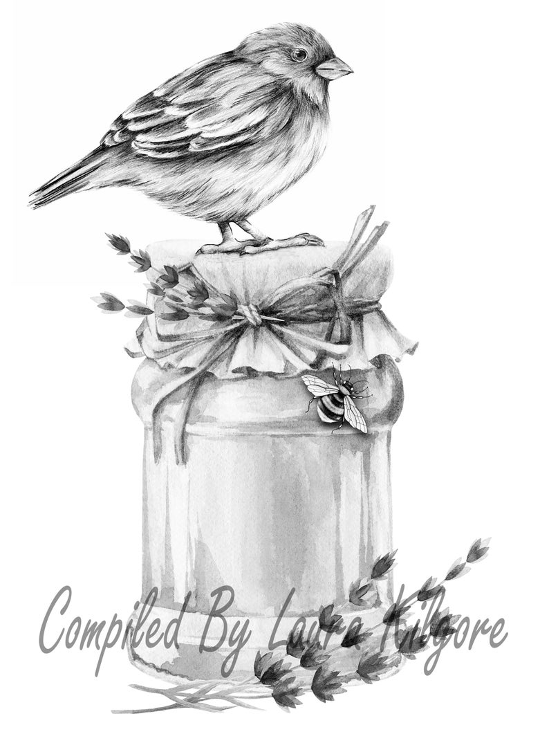 Painted Birds 2: Adult Greyscale Coloring Book (PDF Pattern) - Etsy