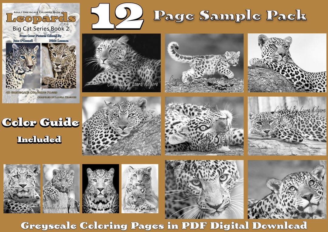 Leopards Big Cat Serirs Book 2 Adult Coloring Book 12 Page Coloring ...