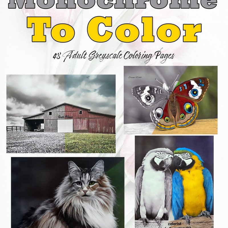 Monochrome Colouring Book - Etsy