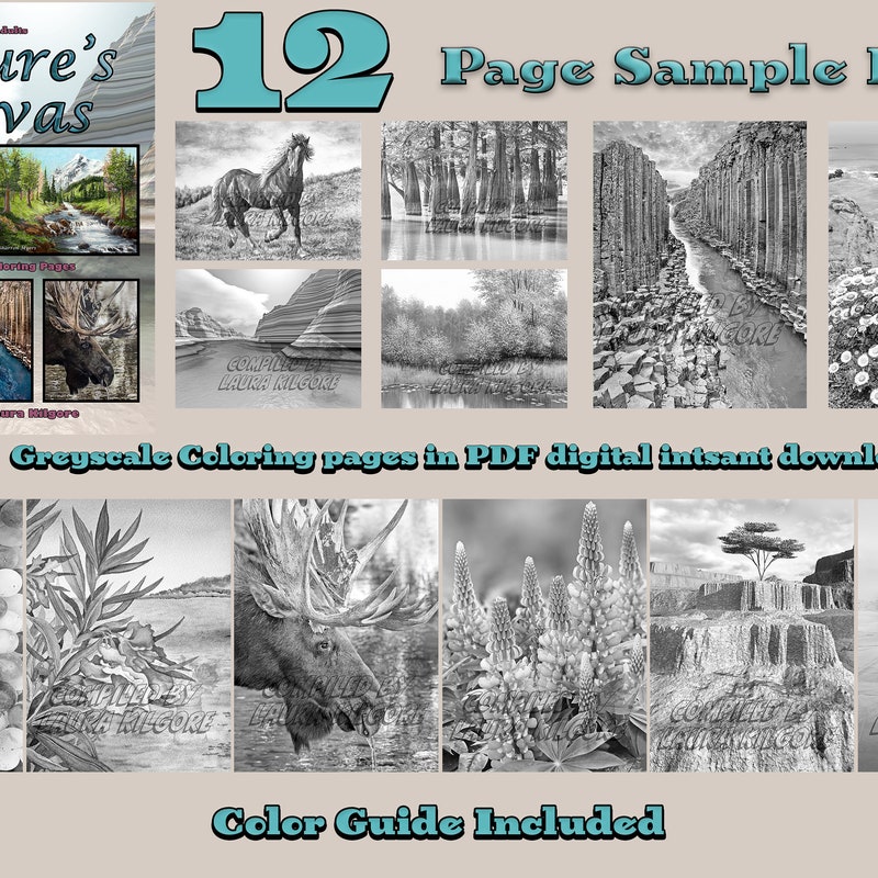 Adult Coloring Books - Etsy