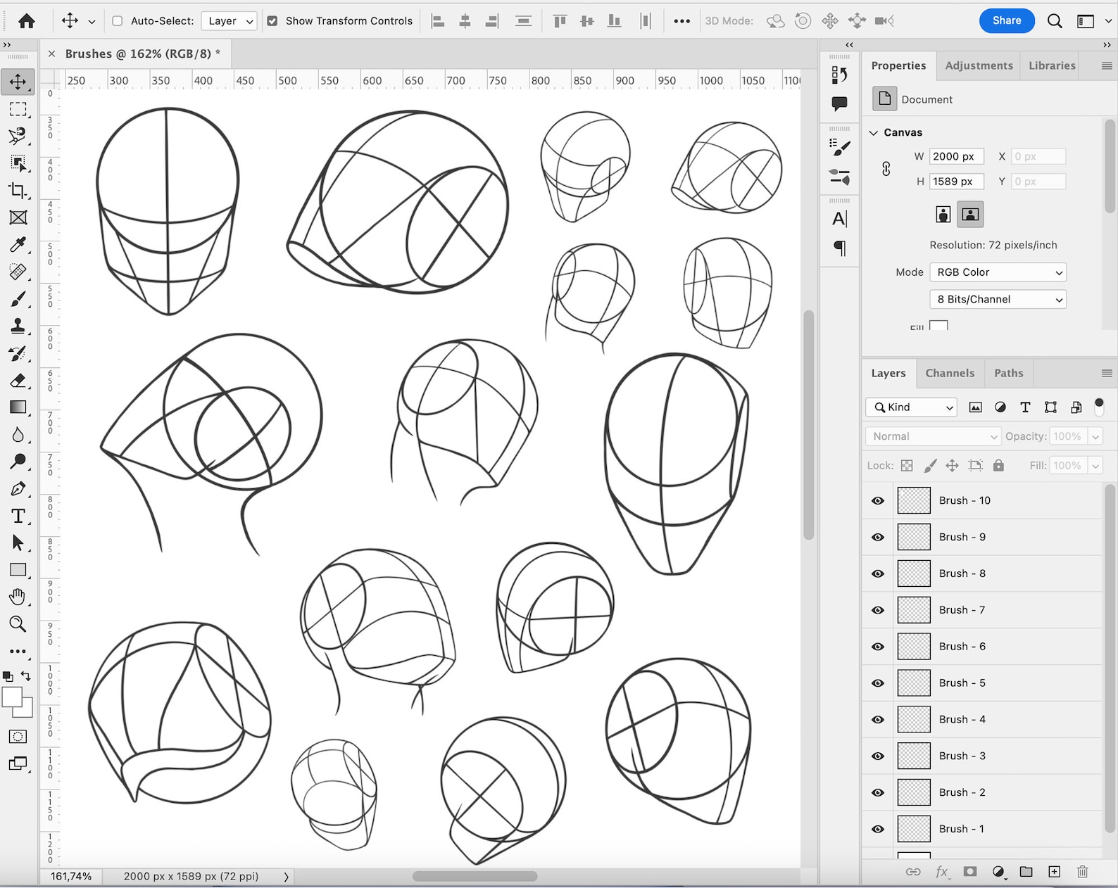 20 Photoshop Portrait Brushes, Adobe Fresco Heads Brushes, Portrait ...
