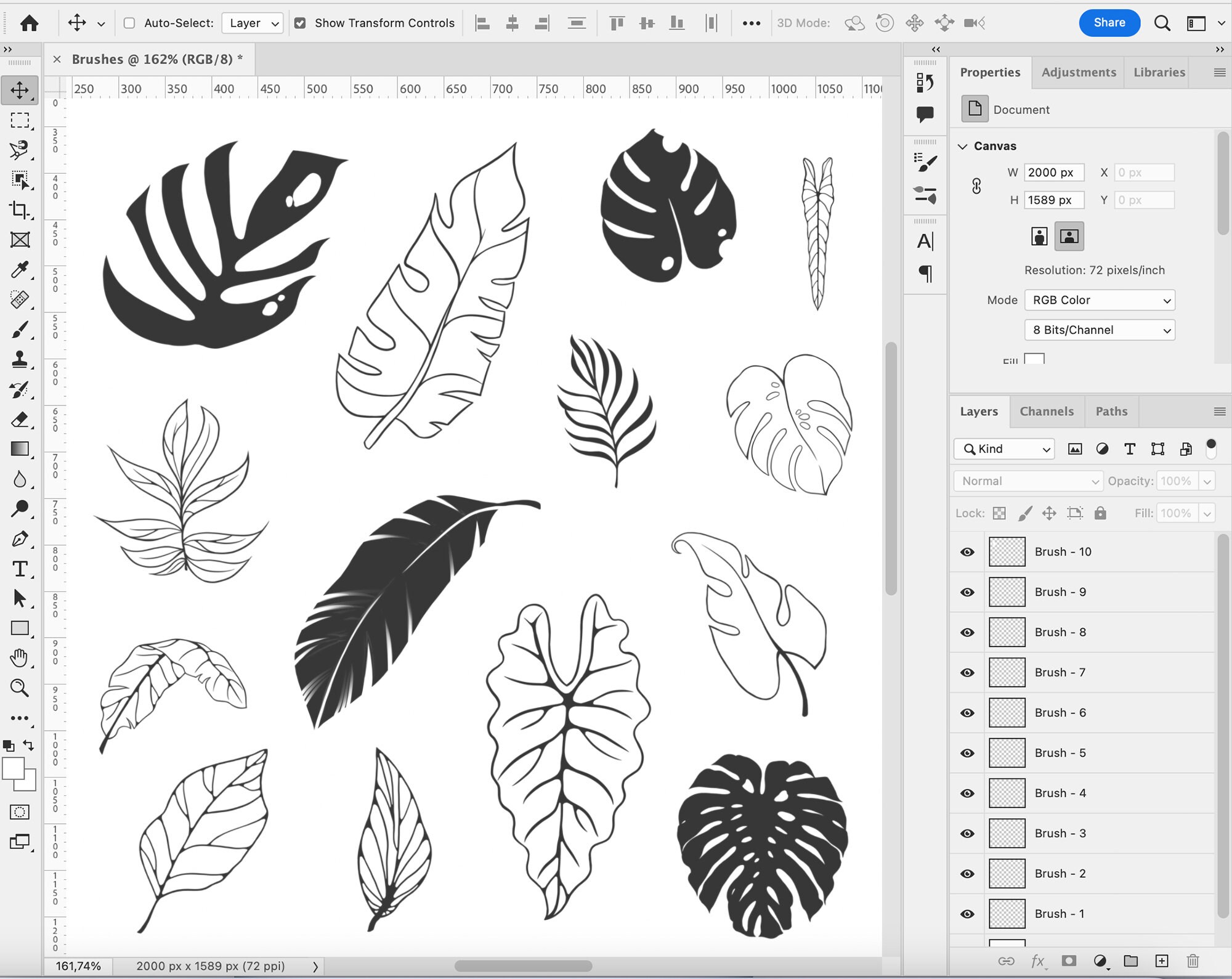 30 Photoshop Tropical Leaves Brushes, Adobe Fresco Palm Leaf Brush ...