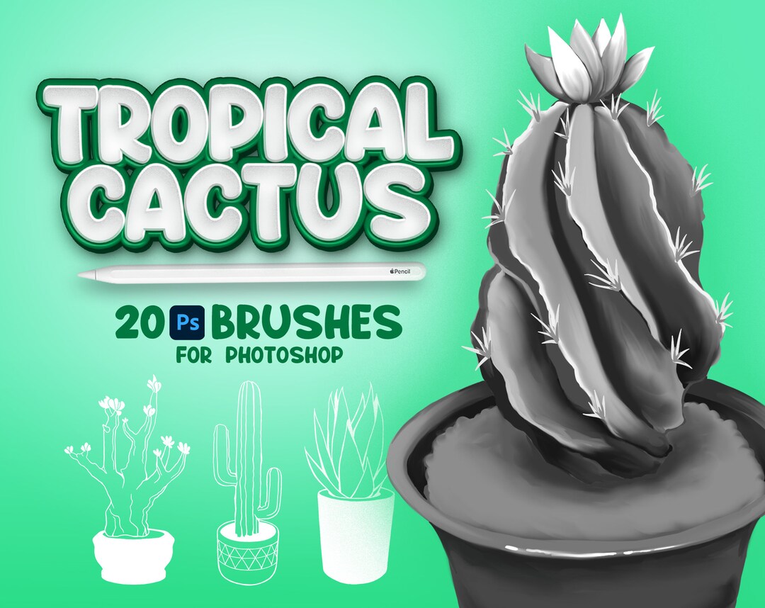 20 Photoshop Cactus Brushes, Adobe Fresco Succulent Brushes, Cactuses ...