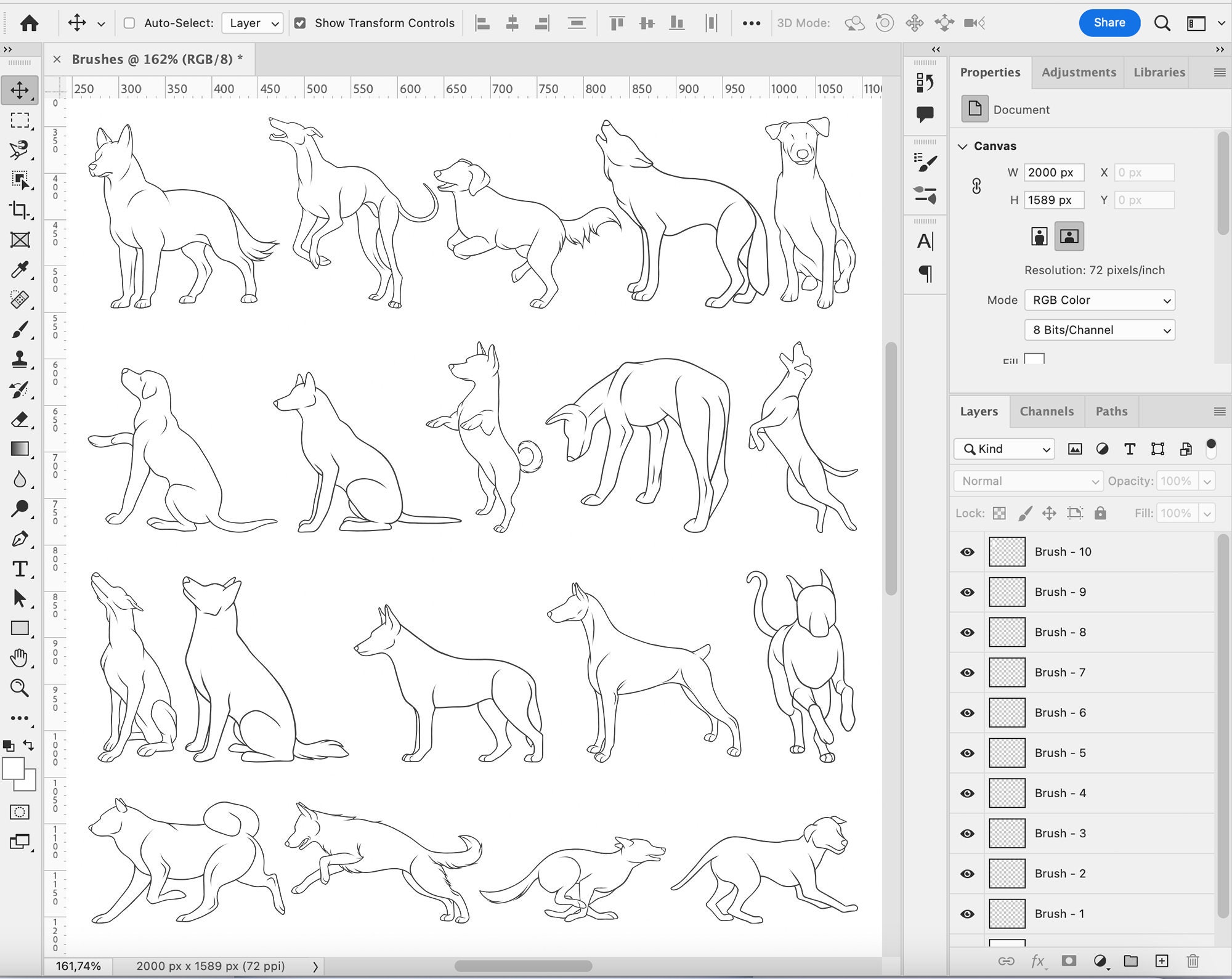 30 Photoshop Dogs Brushes, Fresco Dogs Brush, Dogs Stamp, Photoshop ...