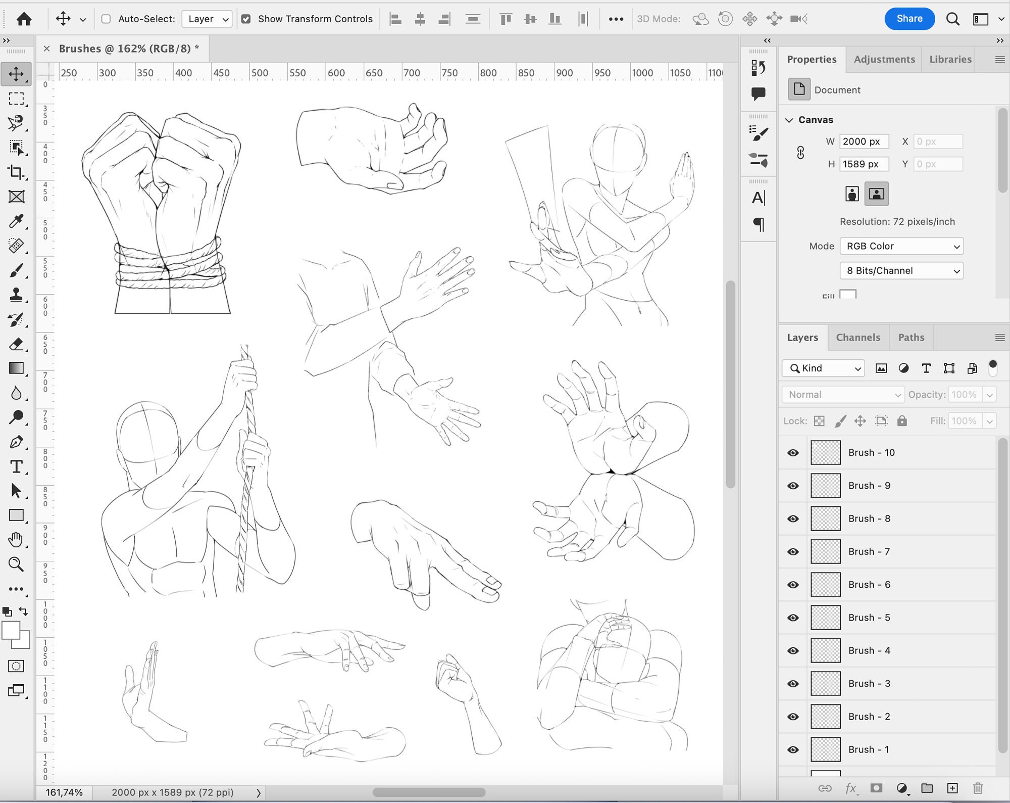 27 Photoshop Hands Brushes, Adobe Fresco Palms Brushes, Fingers Stamp ...