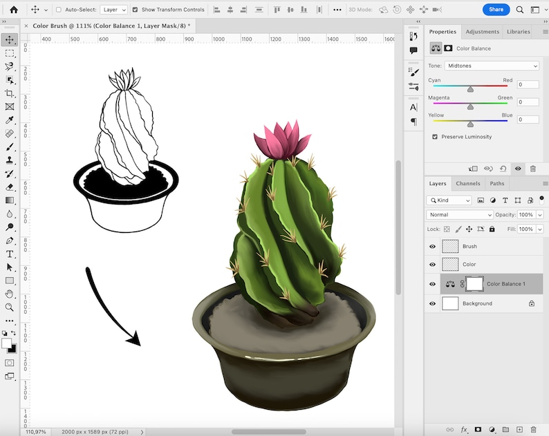 20 Photoshop Cactus Brushes, Adobe Fresco Succulent Brushes, Cactuses ...