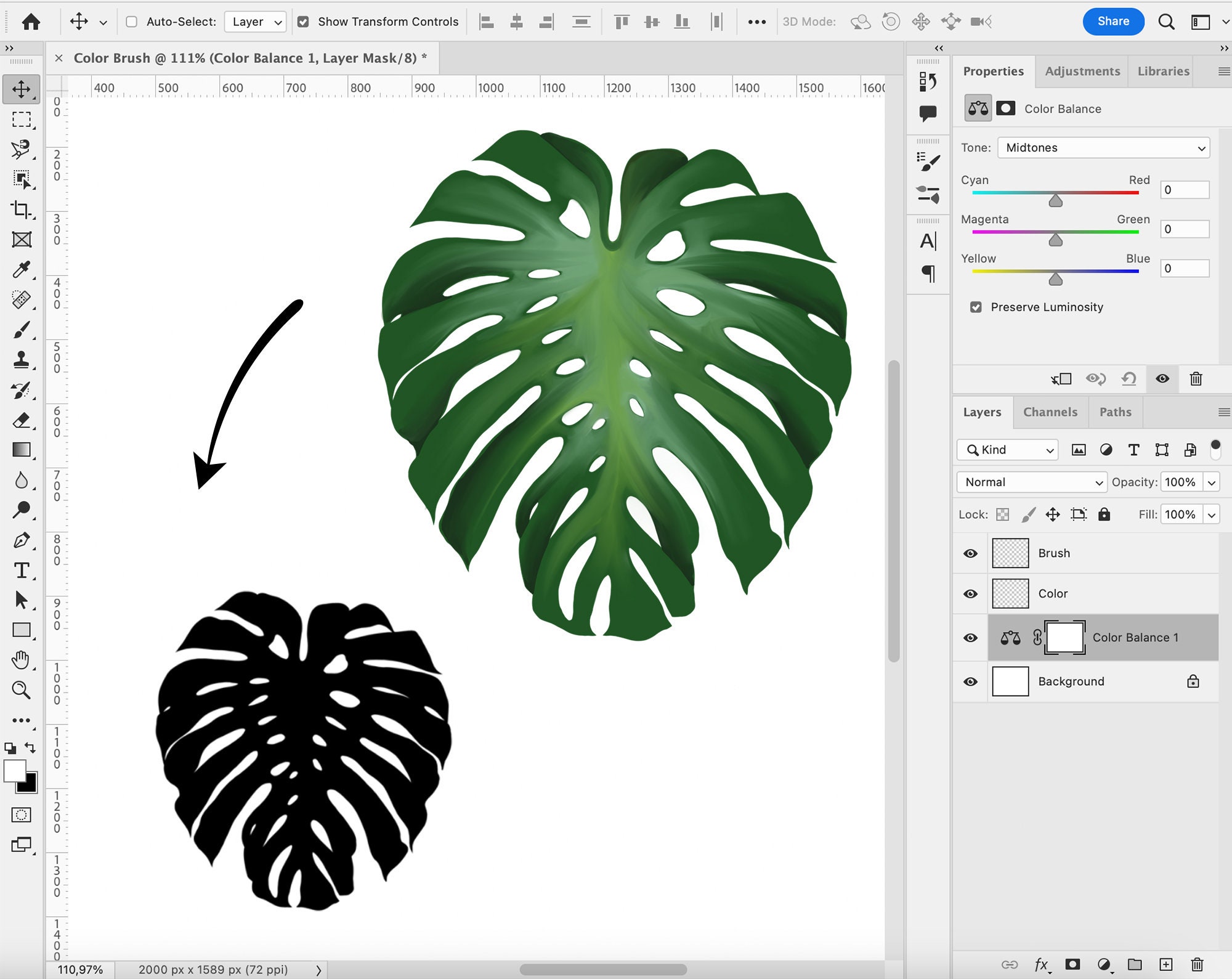 30 Photoshop Tropical Leaves Brushes, Adobe Fresco Palm Leaf Brush ...
