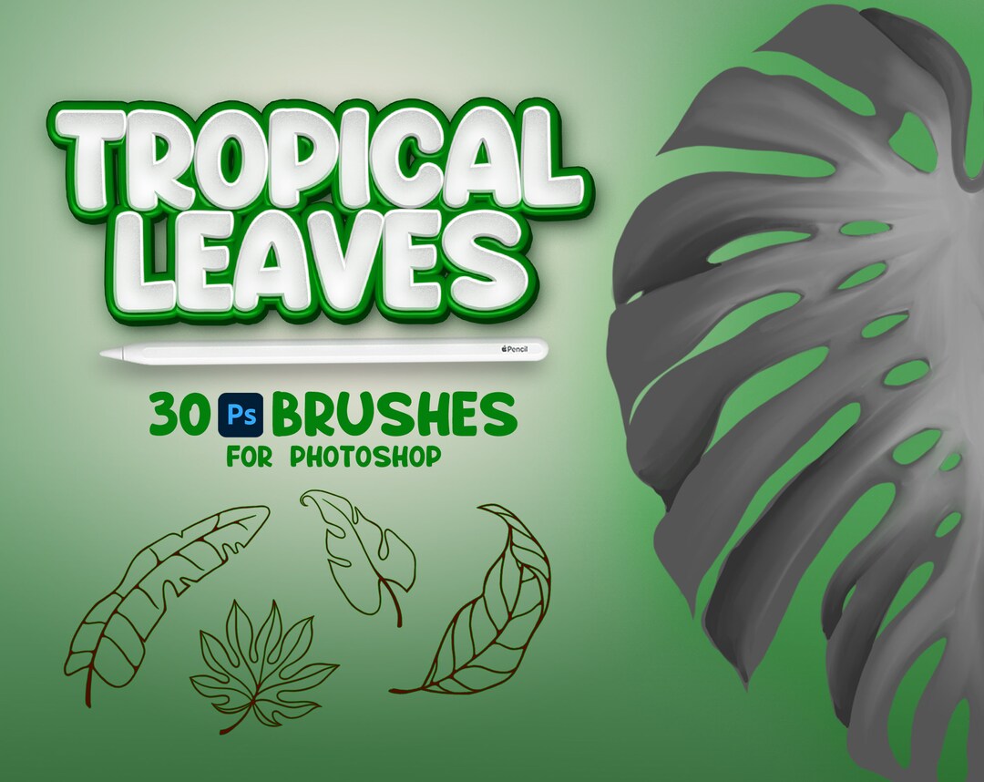 30 Photoshop Tropical Leaves Brushes, Adobe Fresco Palm Leaf Brush ...