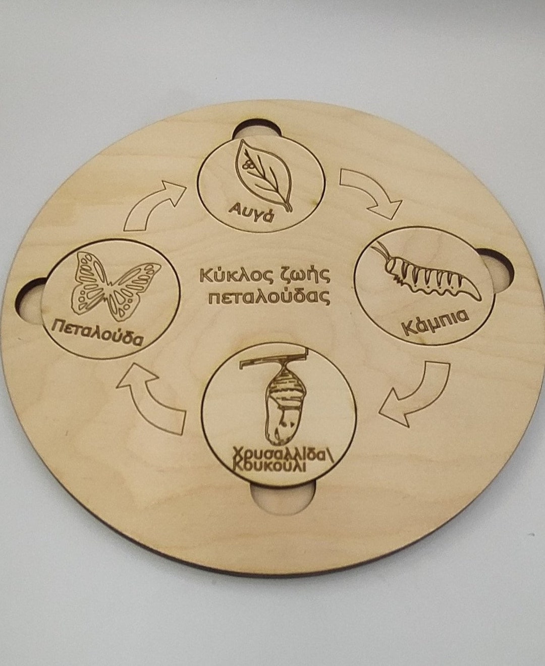 Butterfly Life Cycle Puzzle- Svg Laser Cut File - Etsy