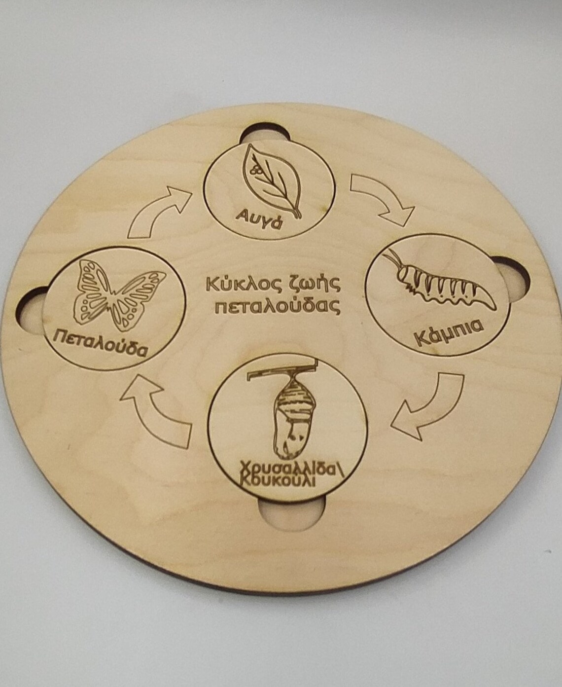 Butterfly Life Cycle Puzzle Svg Laser Cut File - Etsy