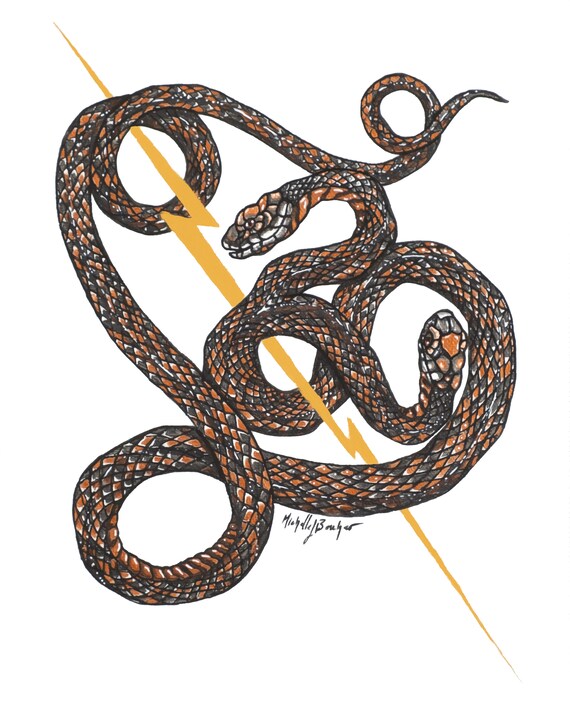 Lightning Serpent Print Lightning Art Snake Art Serpent | Etsy