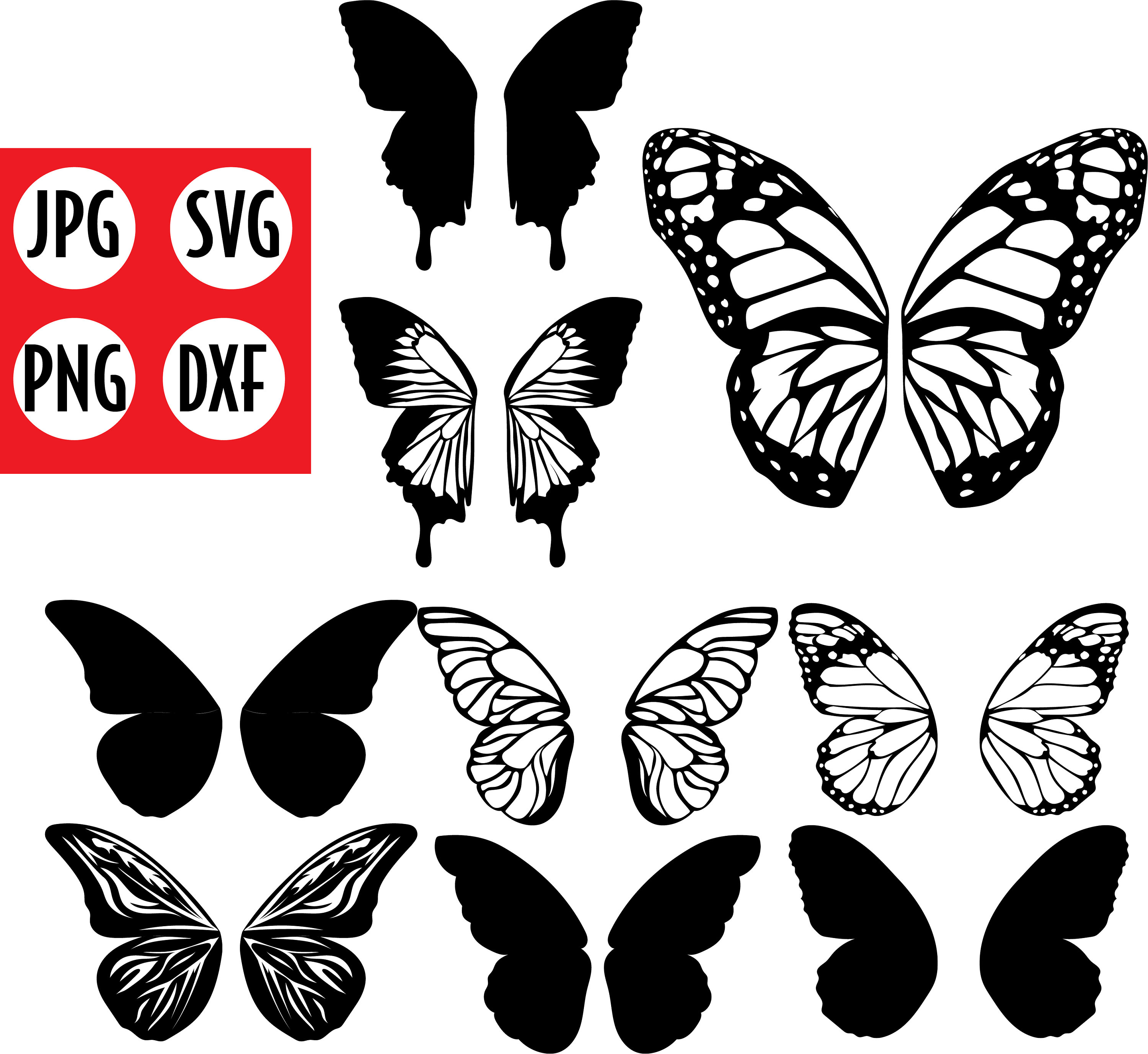 Butterfly Wing Vector