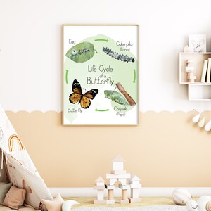 Butterfly Life Cycle Poster, Lifecycle Unit, Homeschool Activity ...