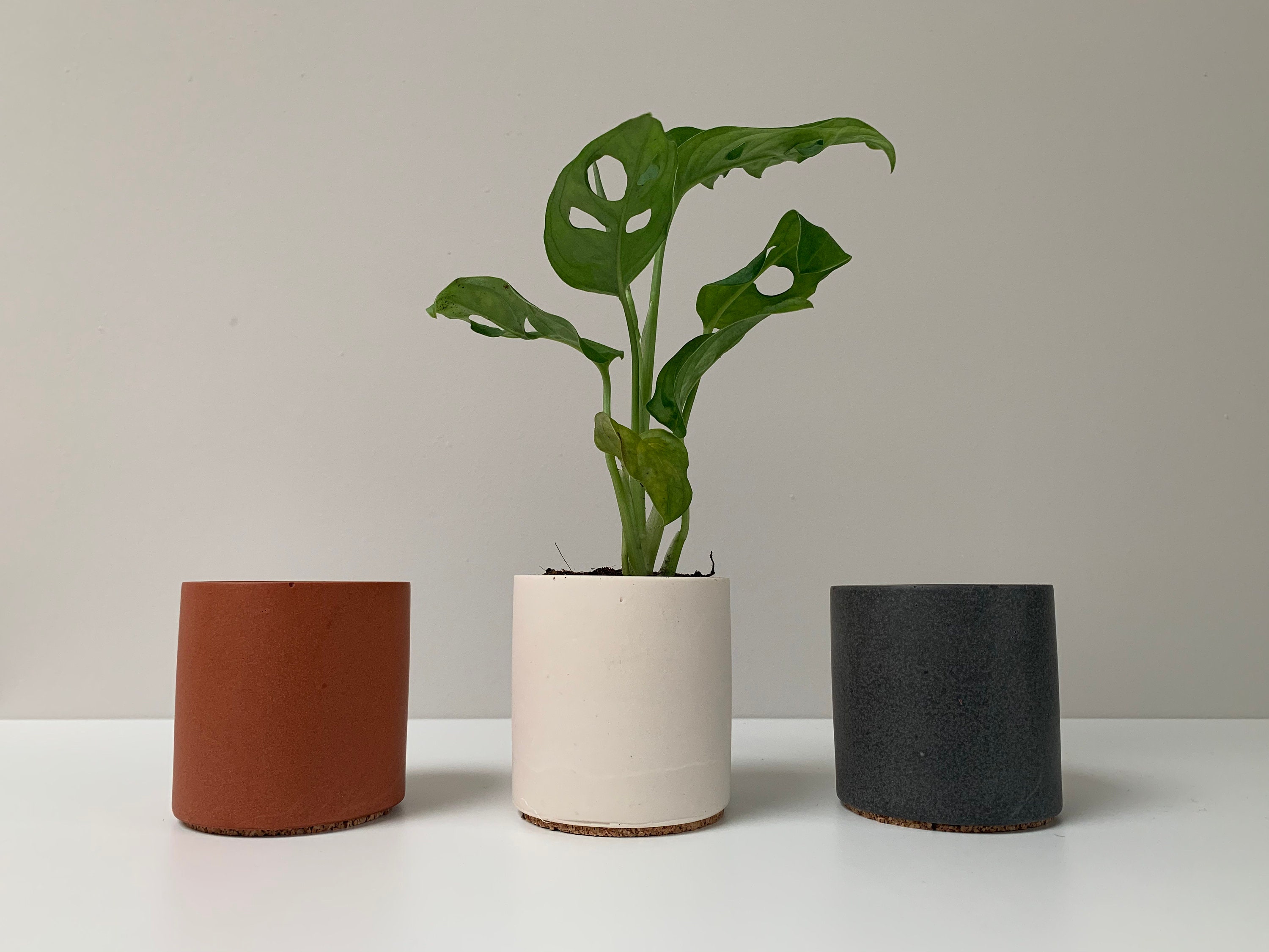 Mini Plant Pot | Etsy