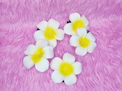 Parappa Hat - Etsy Canada