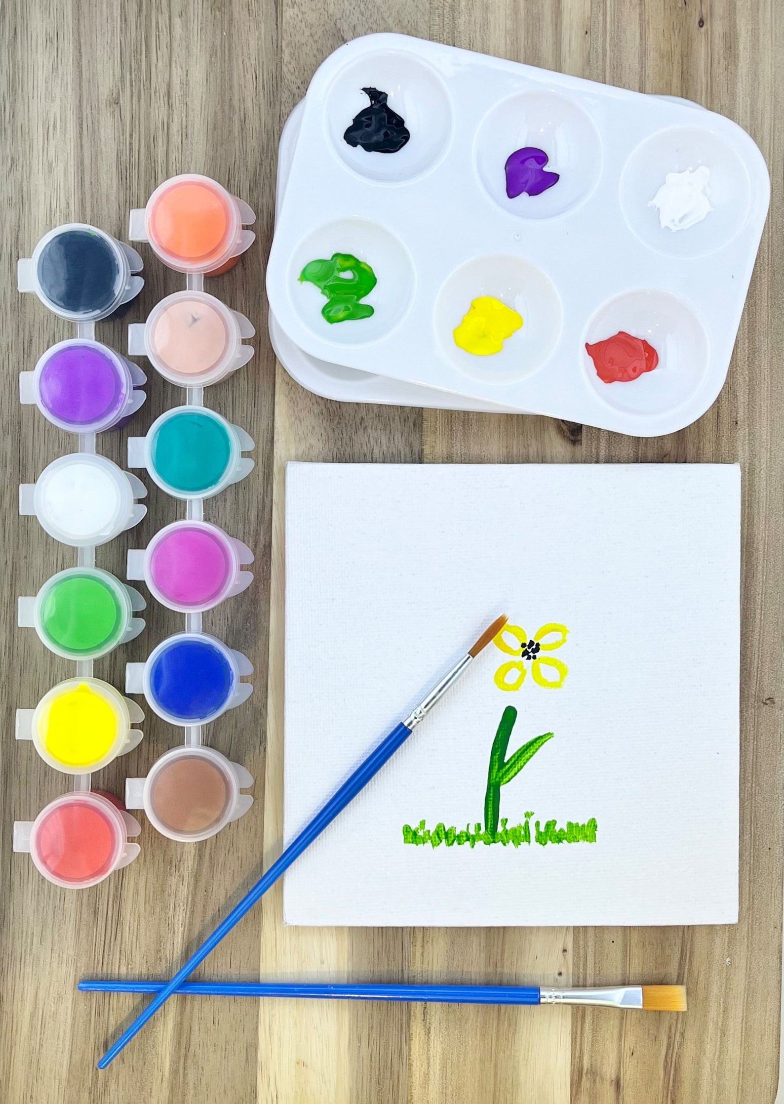 Paint Tray for Kids Paint Palette Bulk Paint Supply for Kids Paint ...