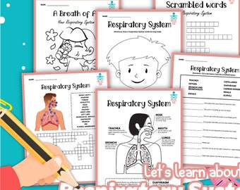 Let's Learn About the Circulatory System! Educational Worksheets ...
