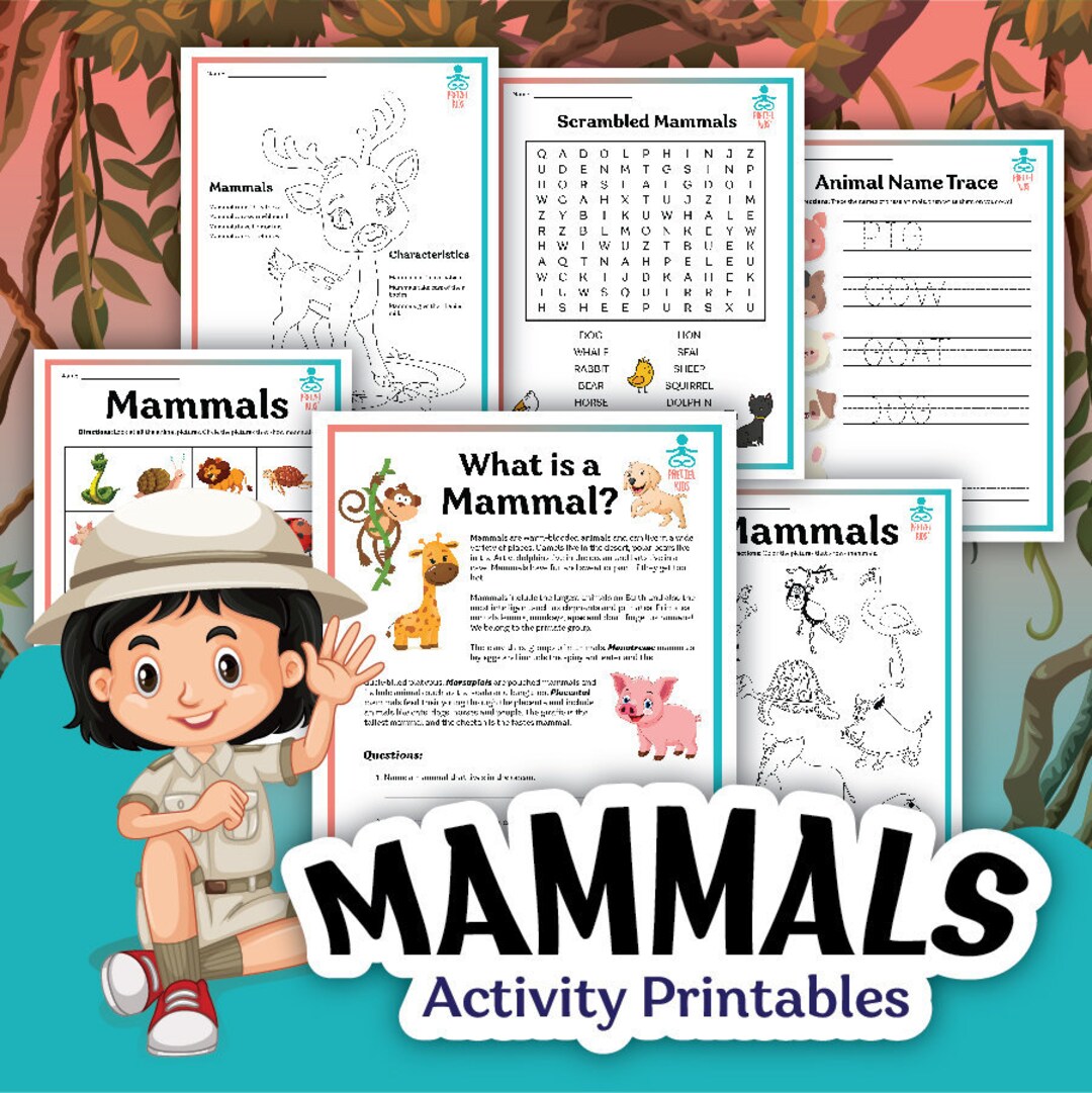 Mammals Activity Printables - Etsy