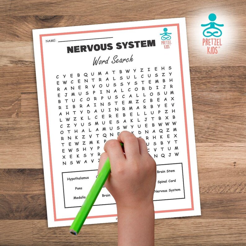Let's Learn About the Nervous System! Educational Worksheets, Printable ...