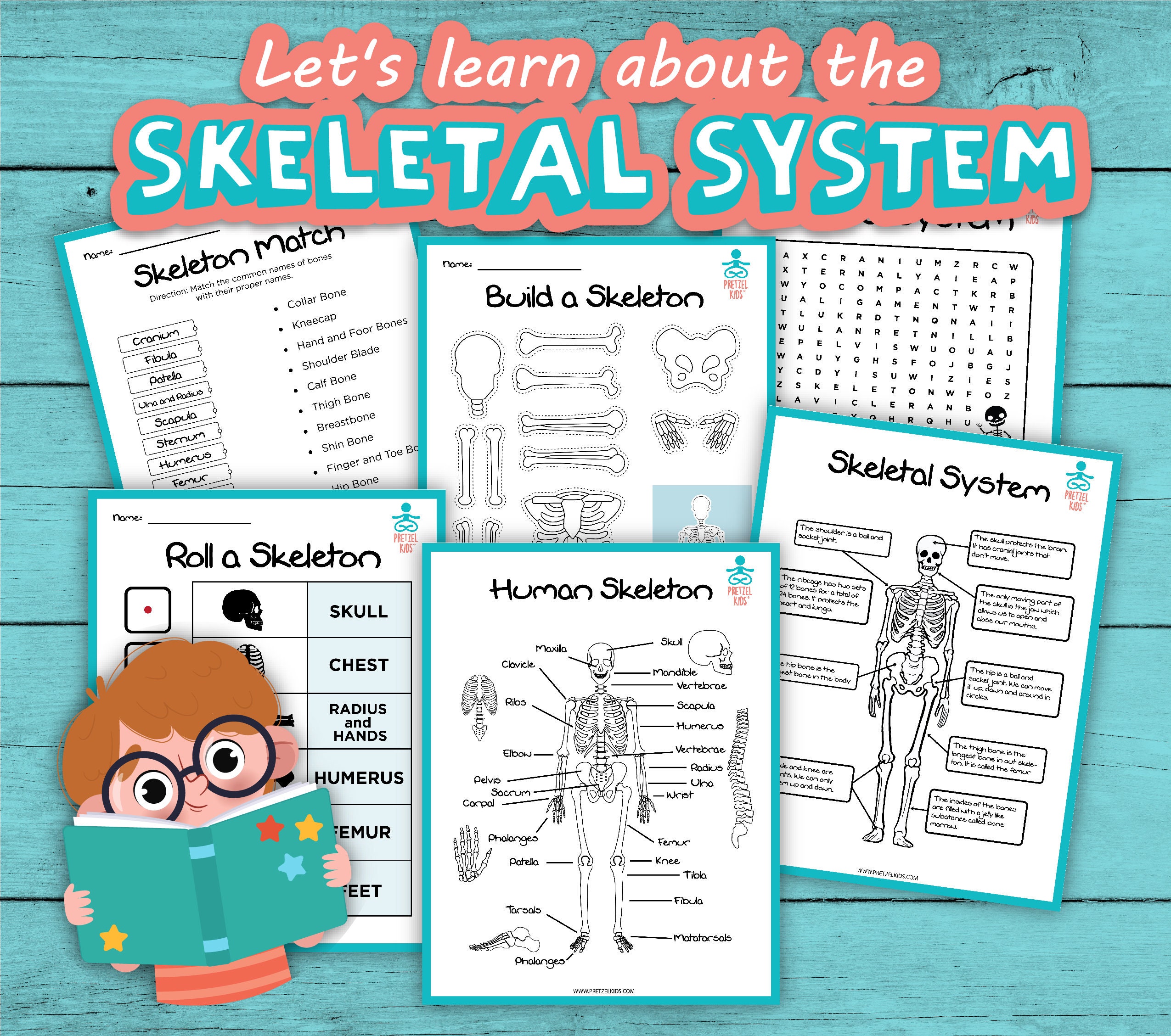 Let's Learn About the Human Body! Bundle of Educational Worksheets ...