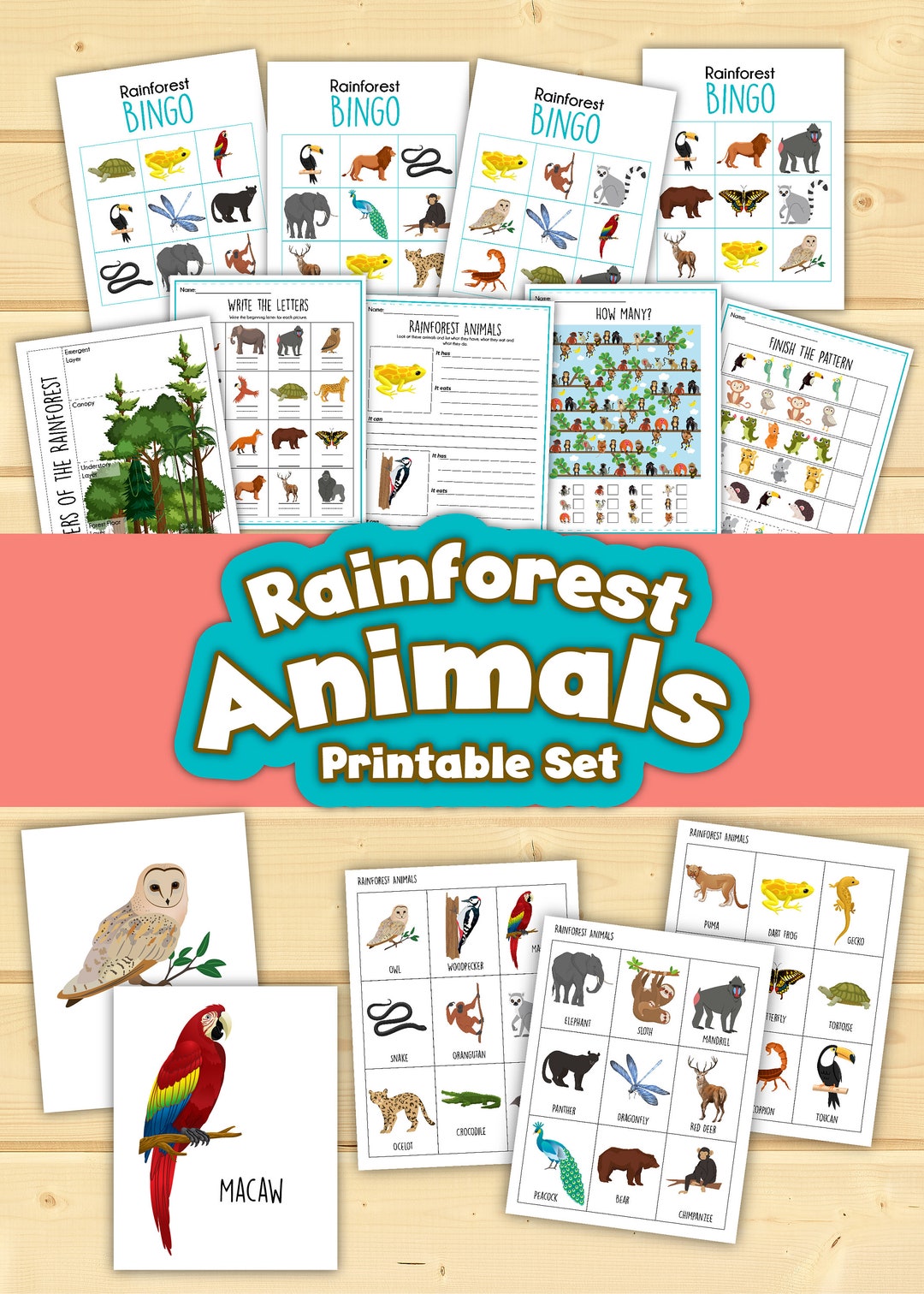 Rainforest Animals Printable Activities - Etsy