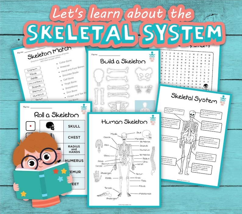 Let's Learn About the Skeletal System! Educational Worksheets ...