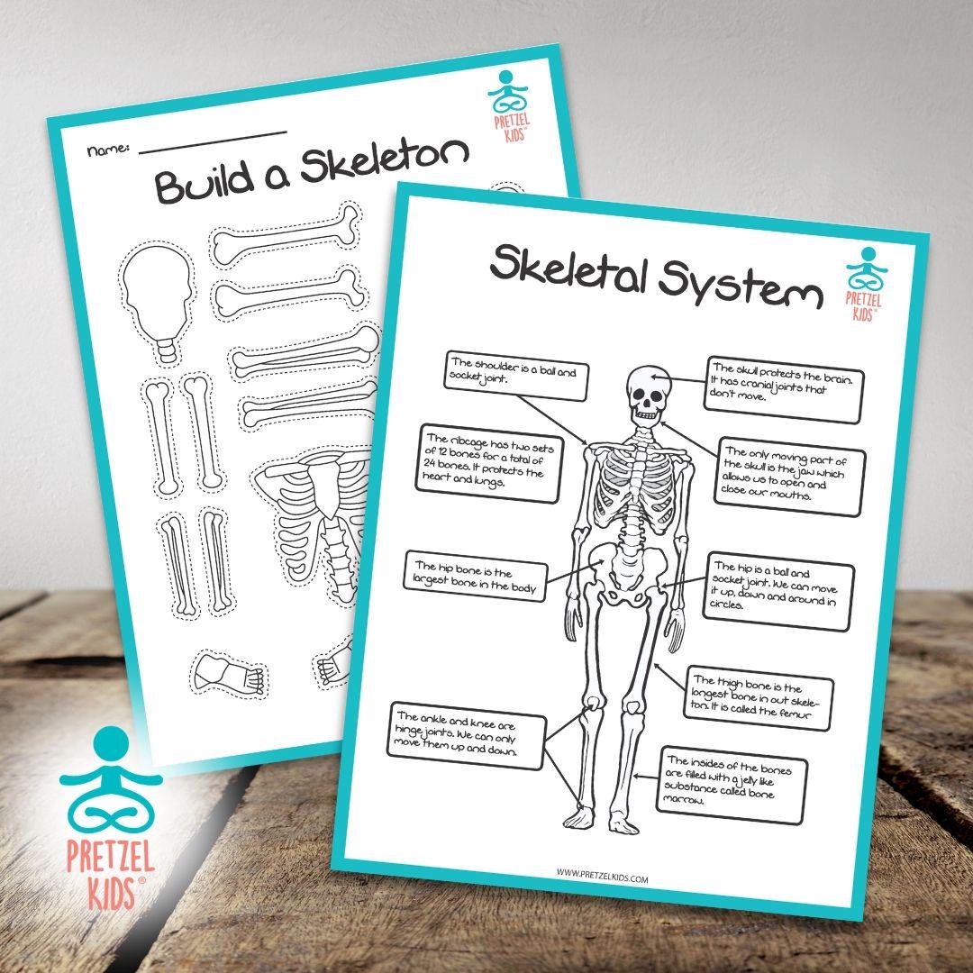 Let's Learn About the Skeletal System! Educational Worksheets ...