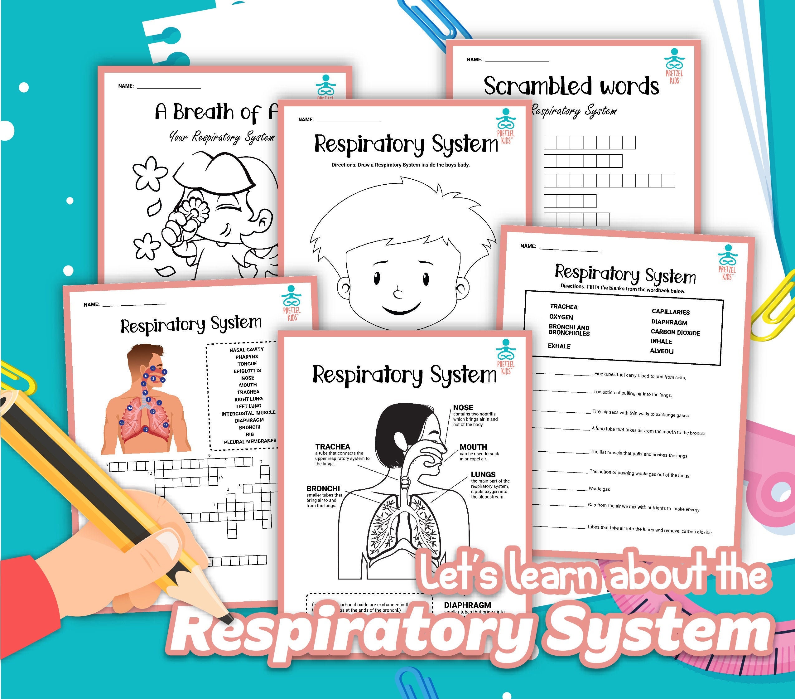 Respiratory System For Kids Worksheets