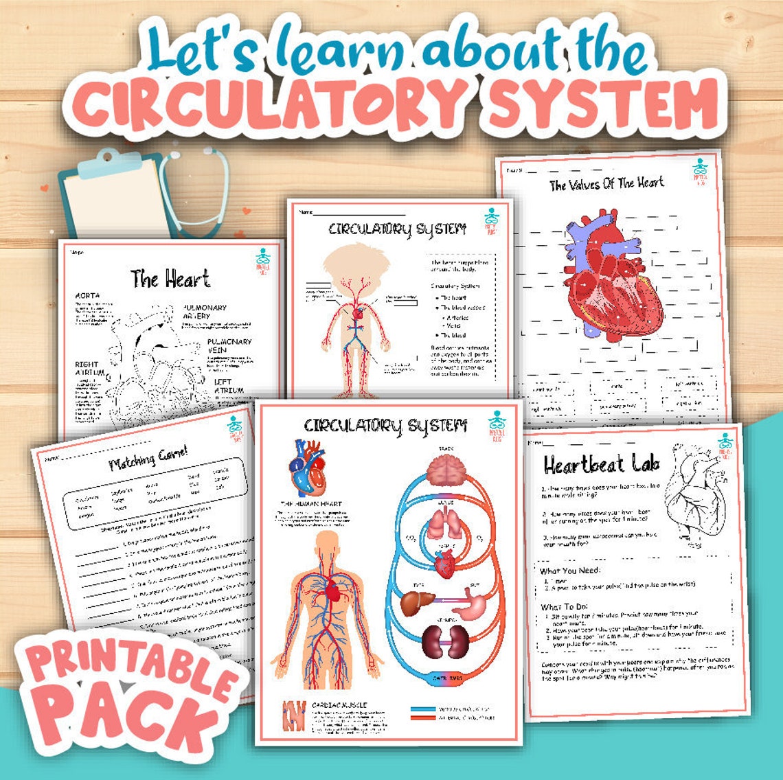 Let's Learn About the Circulatory System! Educational Worksheets ...