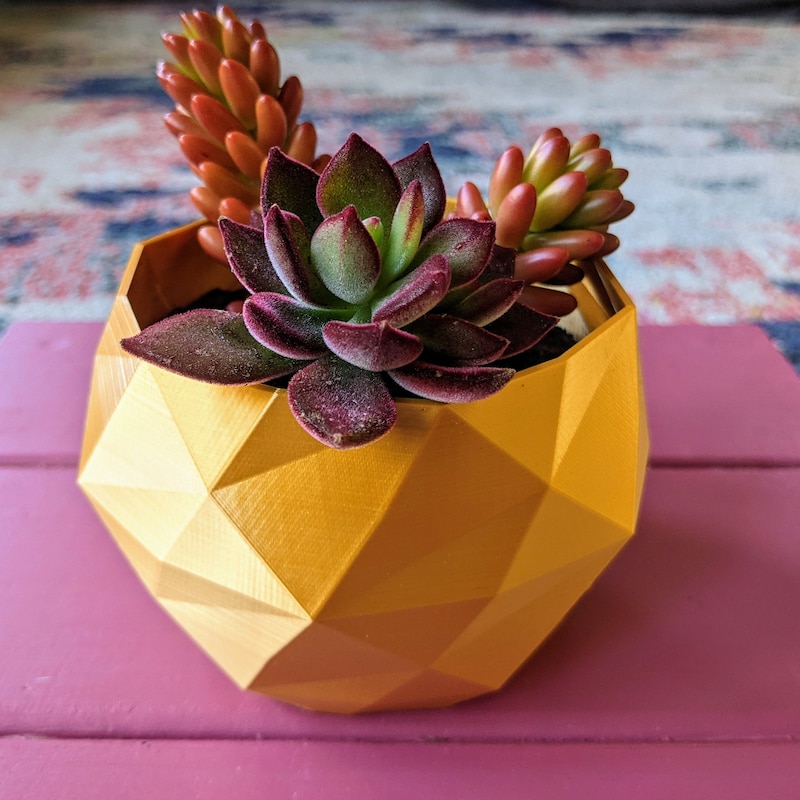 Colorful Planters - Etsy