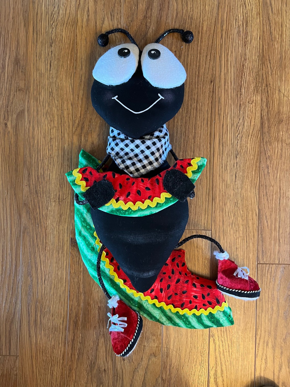 Kicks the Boy Ant, Ant Wreath Attachment, Summer Decor, Watermelon ...
