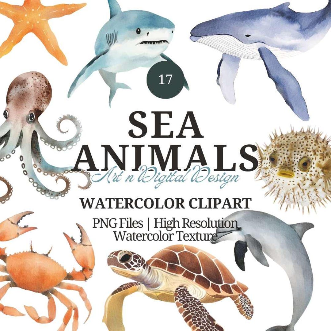 Watercolor Under the Sea Clip Art | Sea Animals Clipart Set, PNG, Whale ...
