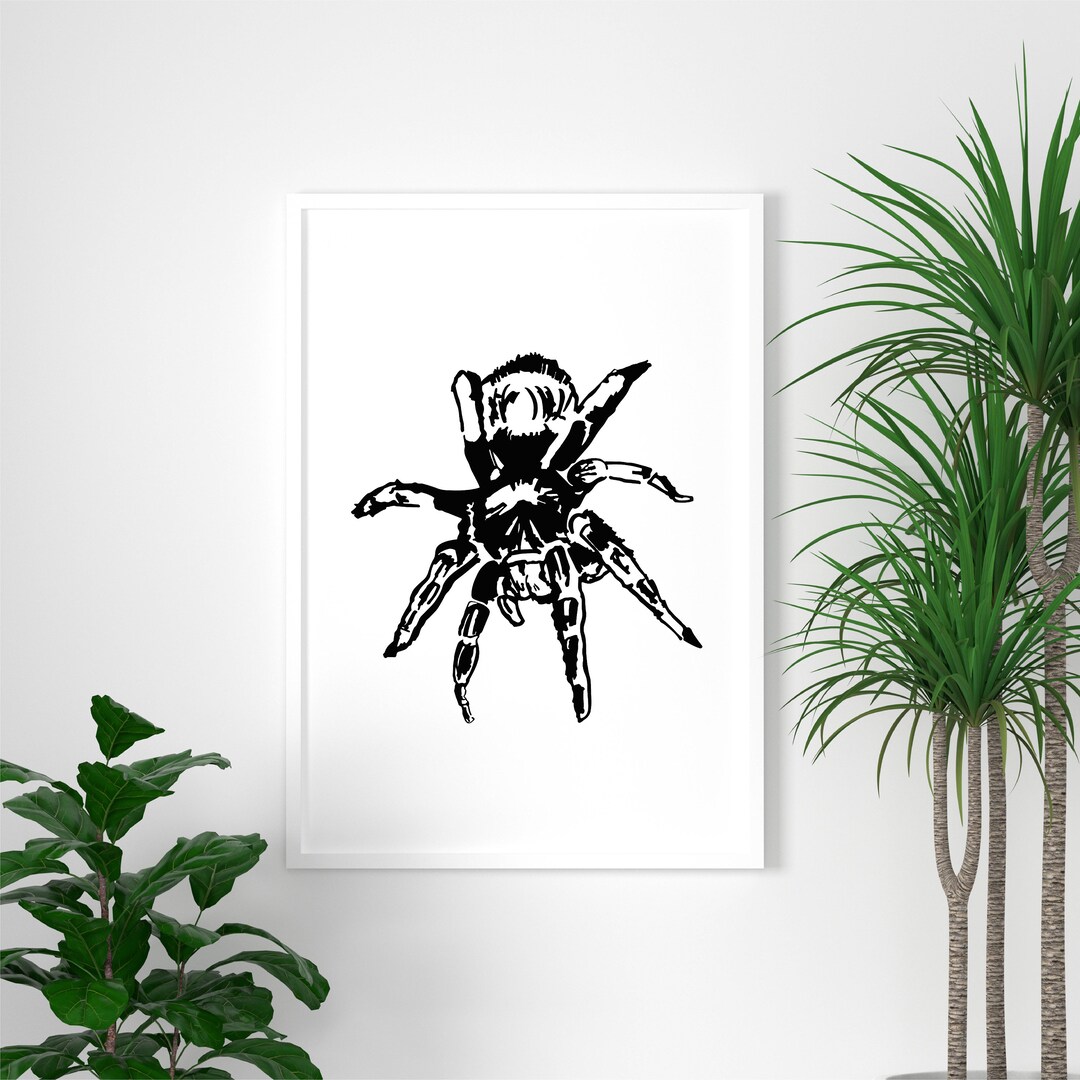 Tarantula Art Print | Spider Wall Art | Insect Print | Arachnid | Bug ...