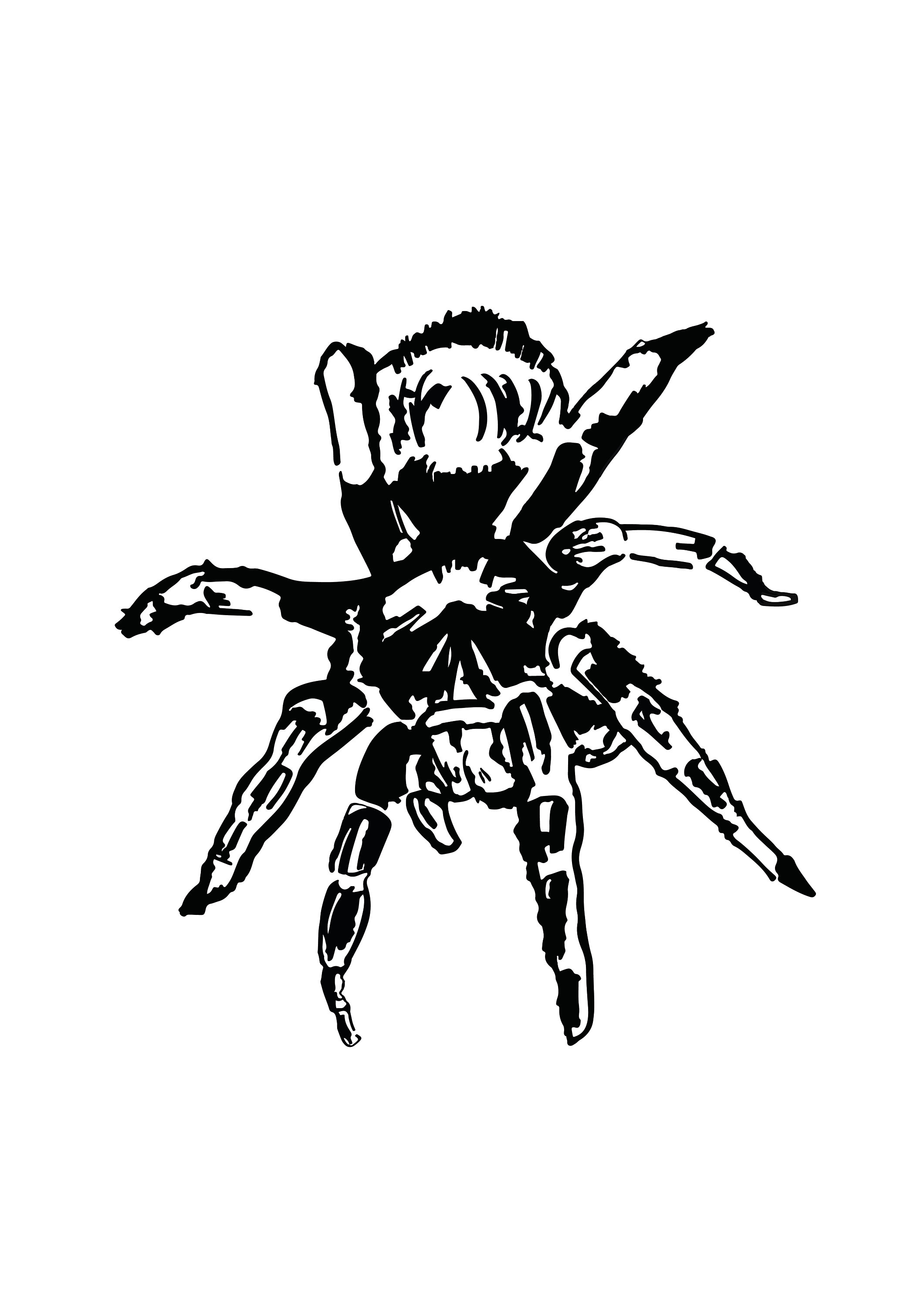 Tarantula Art Print Spider Wall Art Insect Print - Etsy