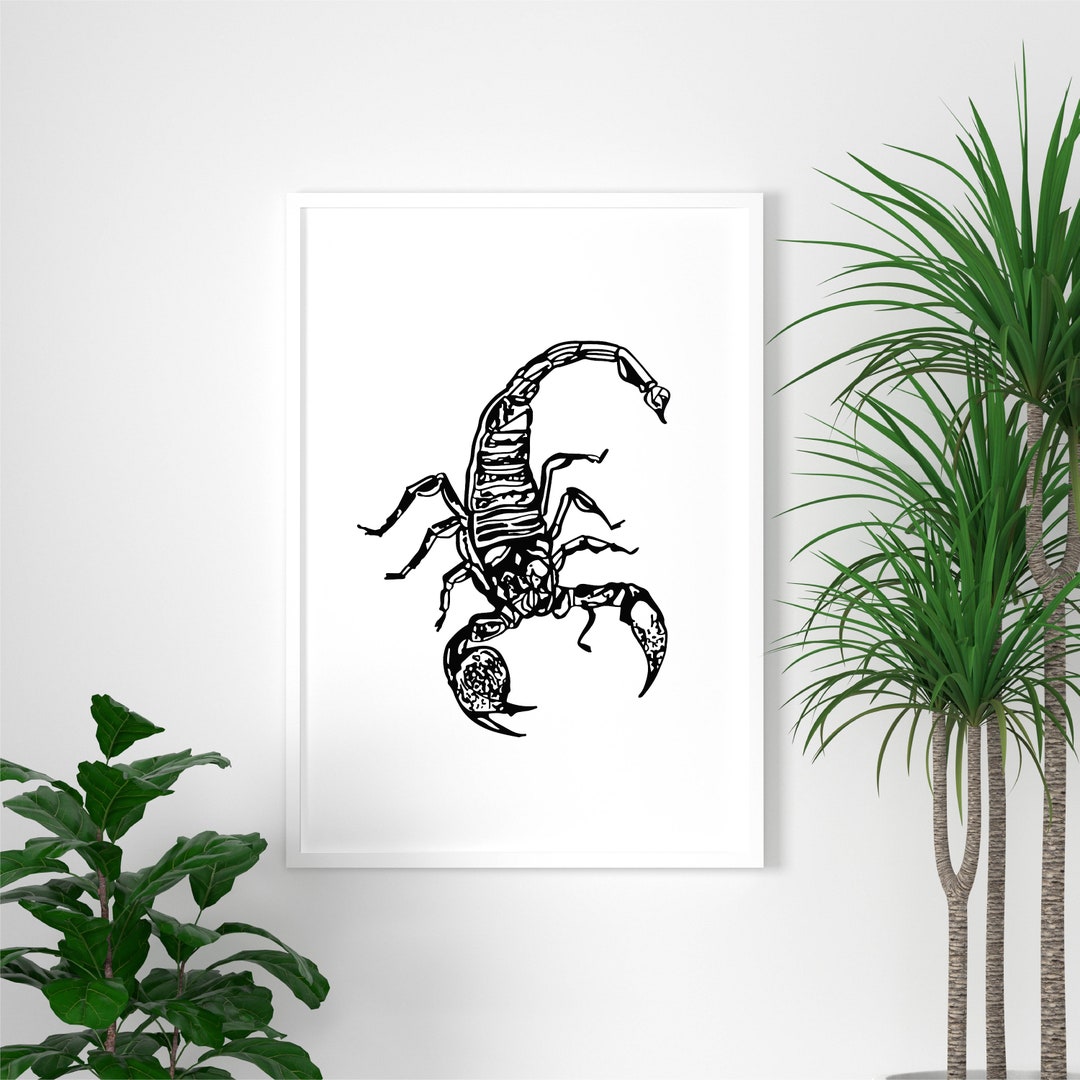 Scorpion Art Print | Scorpio Wall Art | Star Sign | Zodiac Symbol ...
