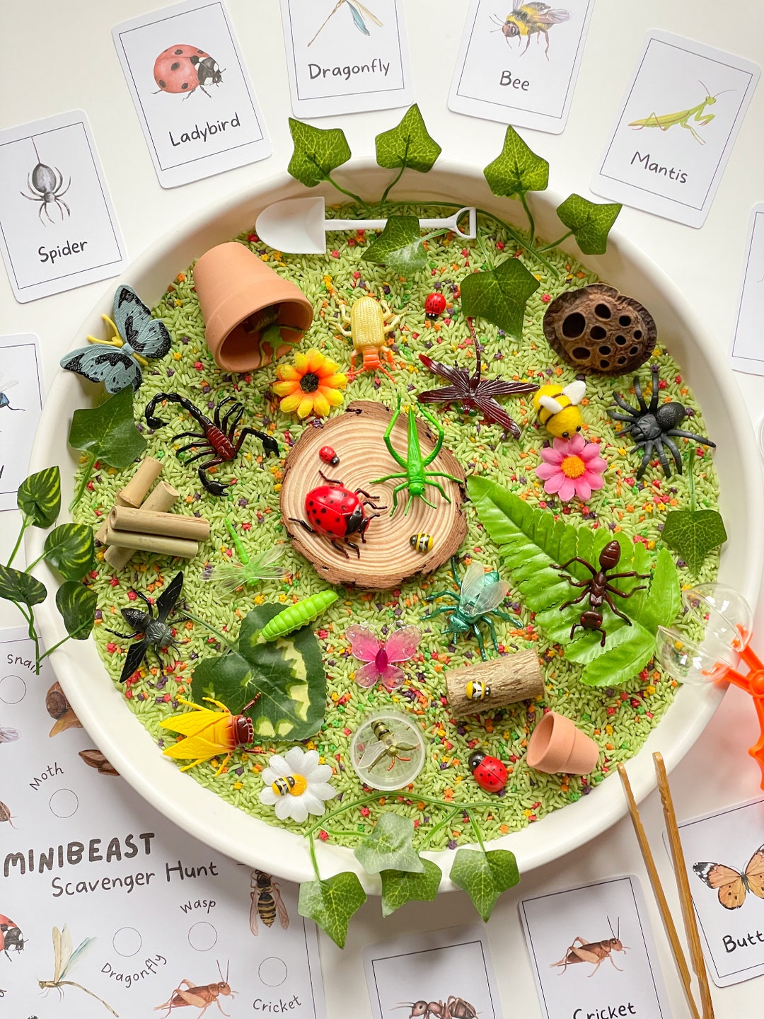 Bug Sensory Kit | Minibeast Hunt | Scavenger Hunt | Sensory Kit | Tuff ...
