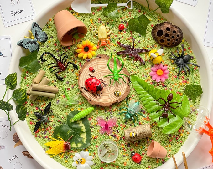 Bug Sensory Kit | Minibeast Hunt | Scavenger Hunt | Sensory Kit | Tuff ...