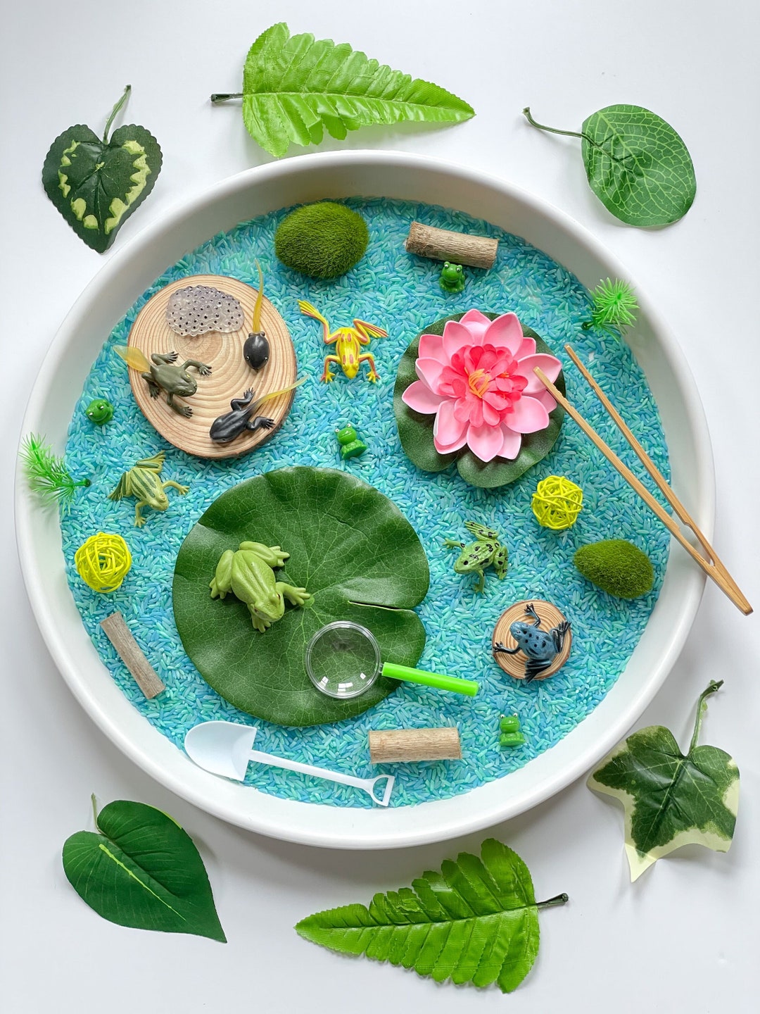 Frog Pond Sensory Kit | Frog Lifecycle | Frog Pond | Lifecycles ...