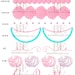 Cake Piping Practice Sheet | Buttercream & Royal Icing Template ...