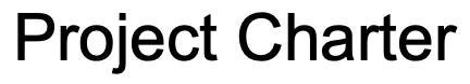Project Charter Template - One Page Project Overview - Etsy