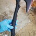 Apex Legends Ravens Bite Heirloom Axe Aluminum Axe - Etsy