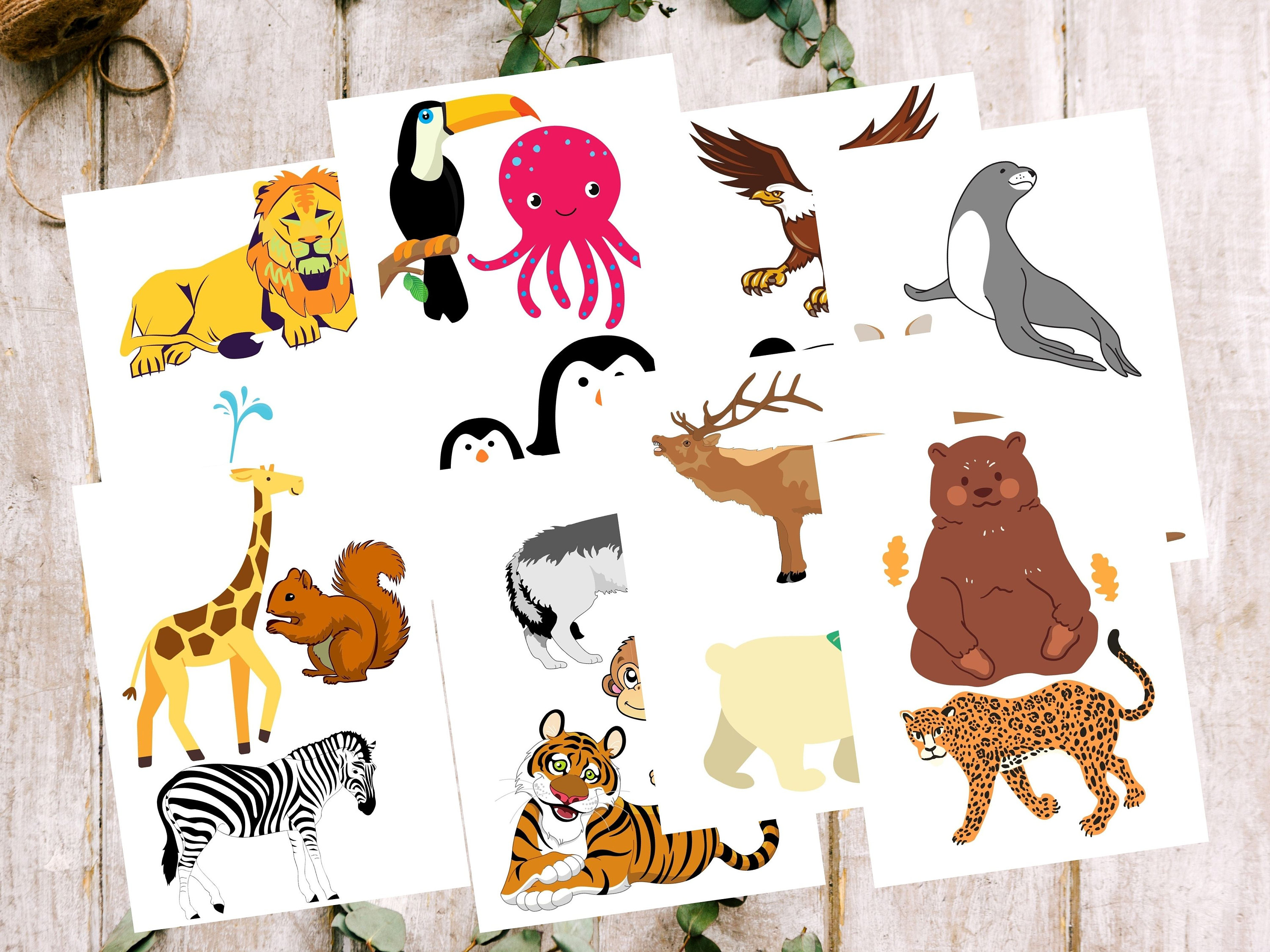 Animals Around the World Map/ BLANK Map (white or Blue) ESL Backdrop ...
