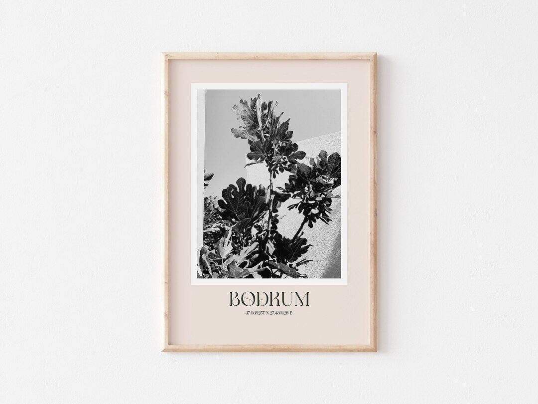 Bodrum Travel Print, Bodrum Poster, Bodrum Travel Photo, Black and ...